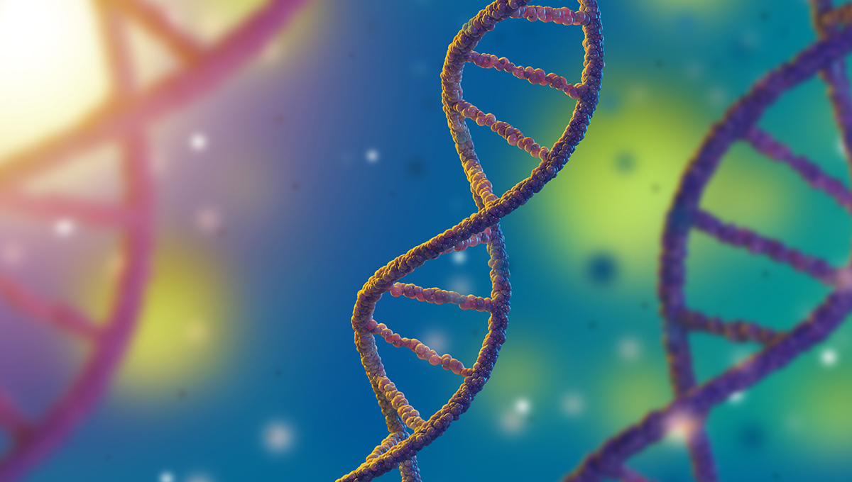 Genetic Risk Score for Endothelial Cell Dysfunction May Help Hone ASCVD Care | tctmd.com